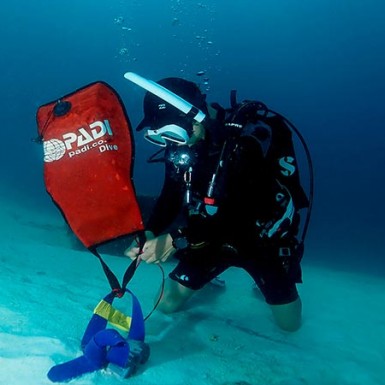 PADI Specialty Courses Archives - Hoi An Diving Center, Five Star PADI ...